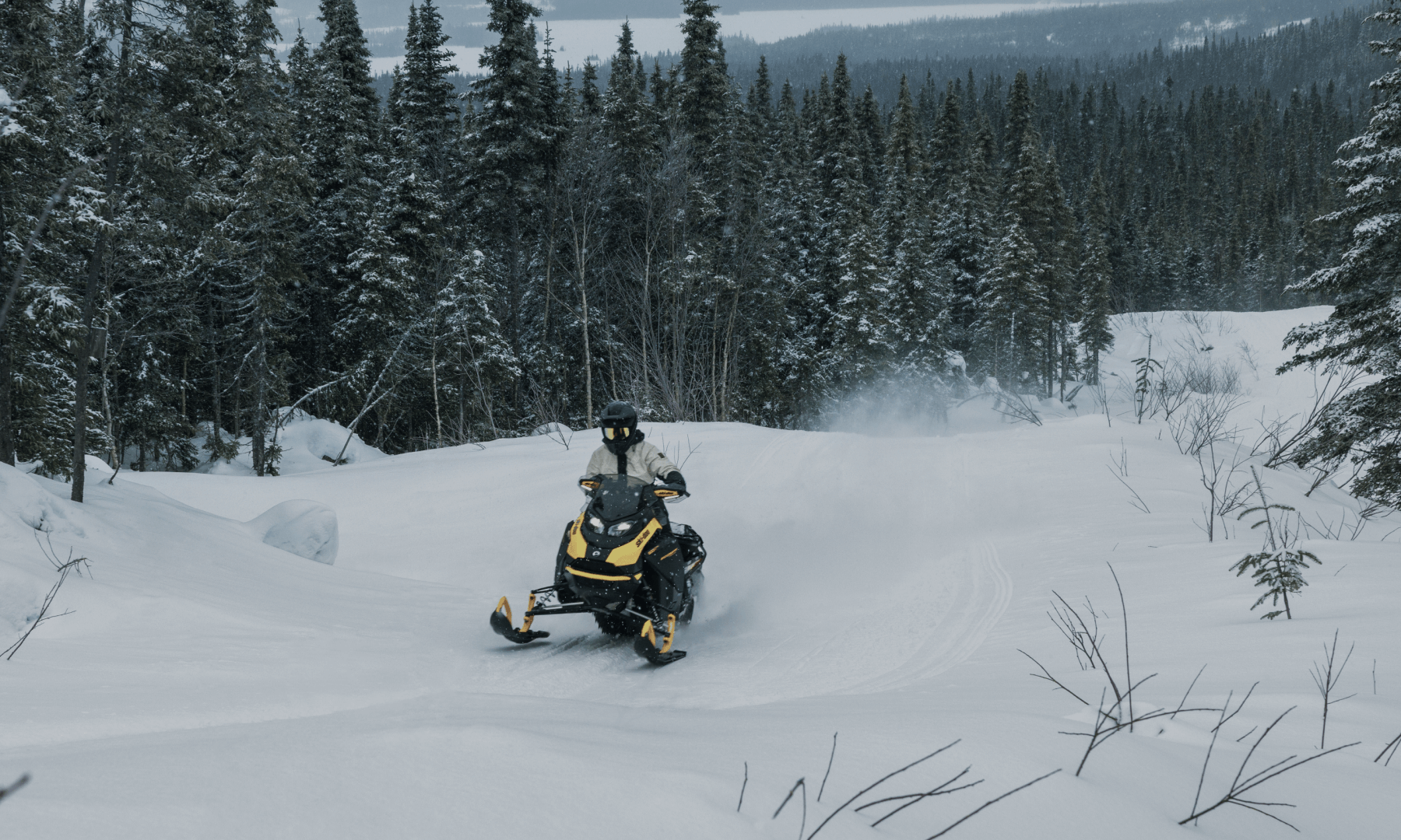 BRP